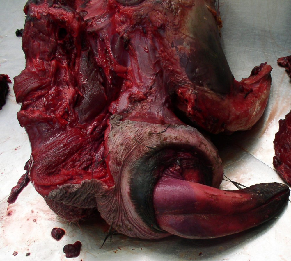 March | 2012 | What's In John's Freezer?