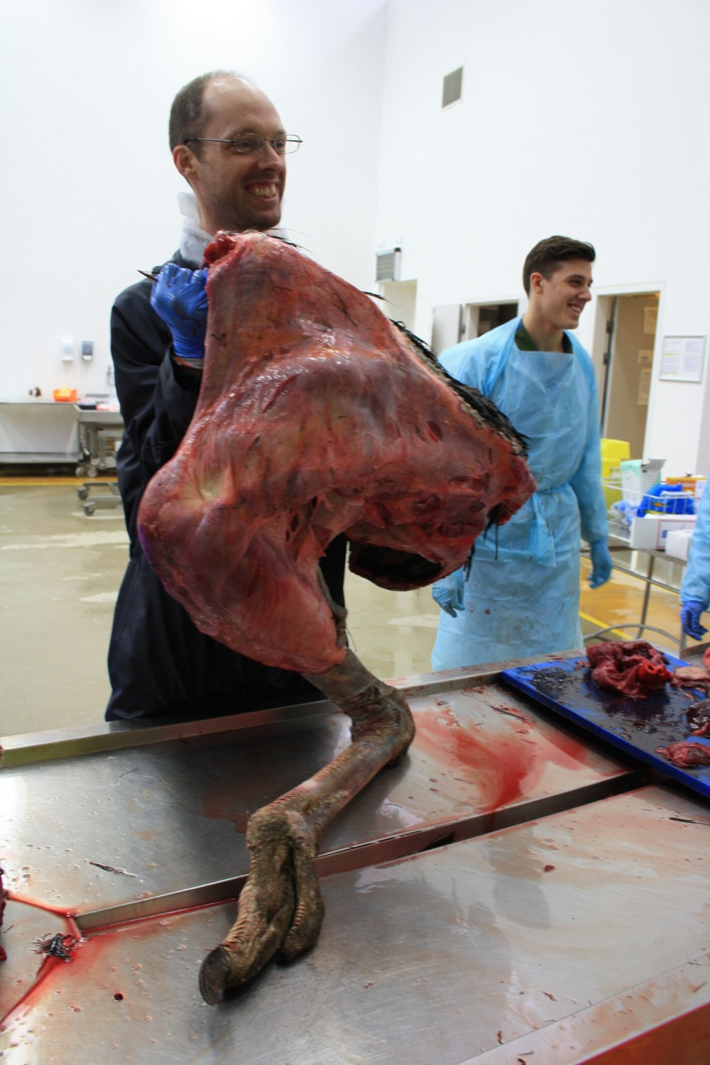 Freezermas Day 2: Opening the Ostrich (Postmortem) | What's In John's ...