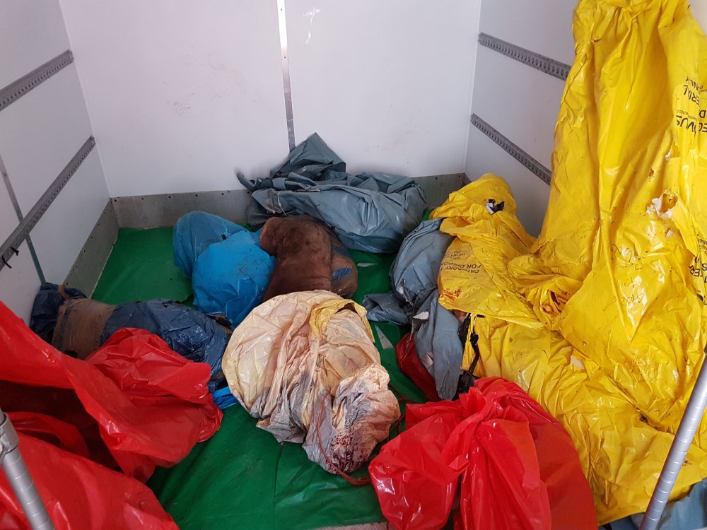 Year Six of Johns Freezer | What's In John's Freezer?